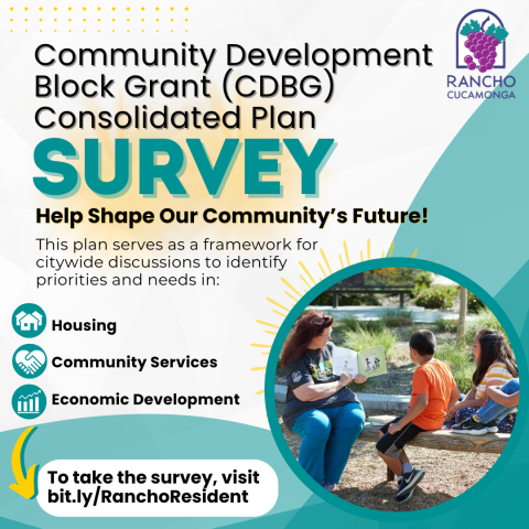 Community Development Block Grant (CDBG) Consolidated Plan Survey ...